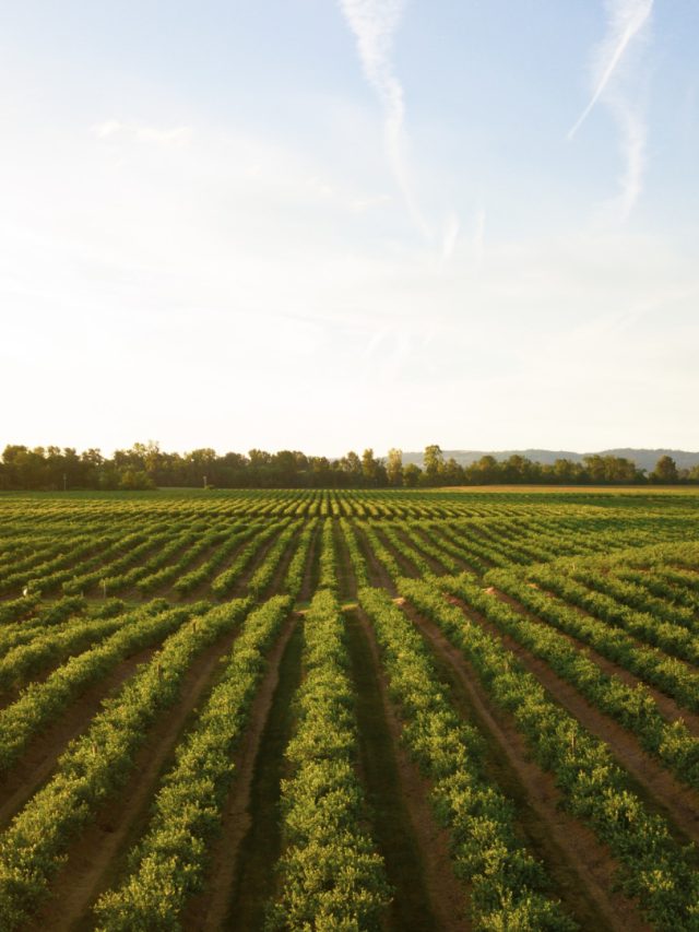Možno si „zemepán“ a ani o tom nevieš. Nový zoznam ti môže odhaliť ...
