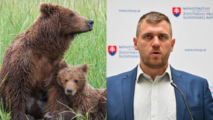 Kuffa: Mäso z medveďov bude v reštauráciách už čoskoro